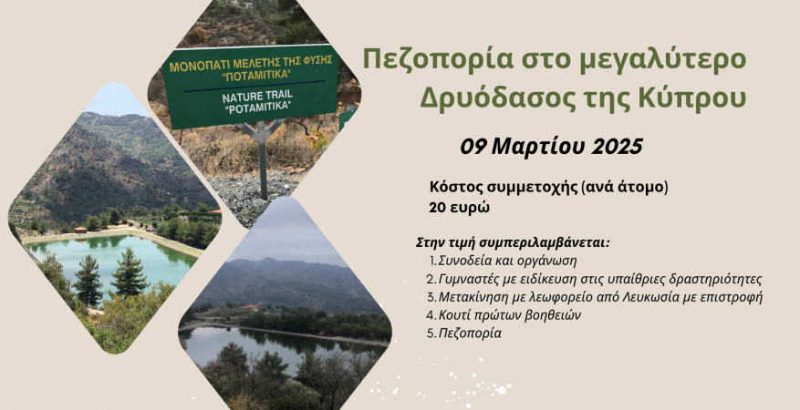 Hiking in the largest Oak Forest in Cyprus | Outdoor Activities ...
