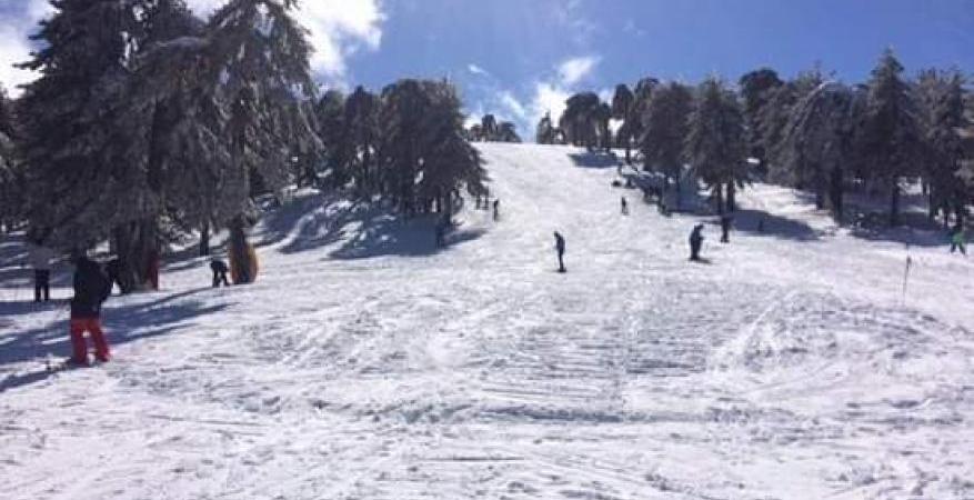 Skiing in Troodos - 1 March | Outdoor Activities | Salonica View