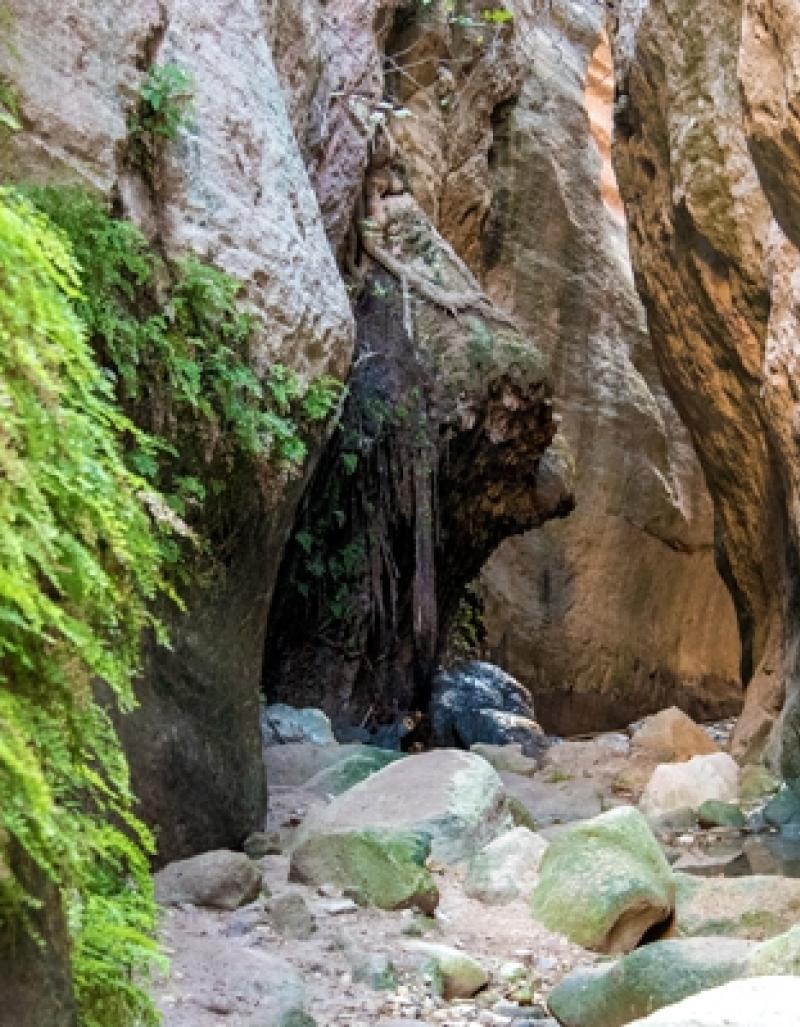 Excursion and hike in the Avaka Gorge | Outdoor Activities | Salonica View