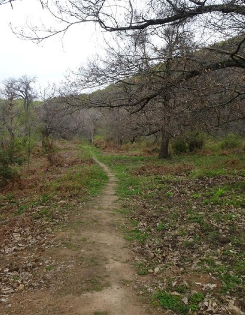 Πεζοπορία Χορτιάτης (Αγ. Παρασκευή - Καταφύγιο Σ.Ε.Ο) | Υπαίθριες ...