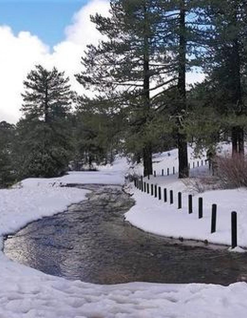 Χειμερινή Πεζοπορία στο Τρόοδος - μονοπάτι Άρτεμις | Υπαίθριες ...